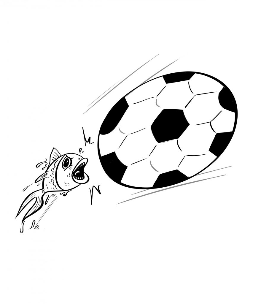 Well Worded — Sports Slang from Around the World