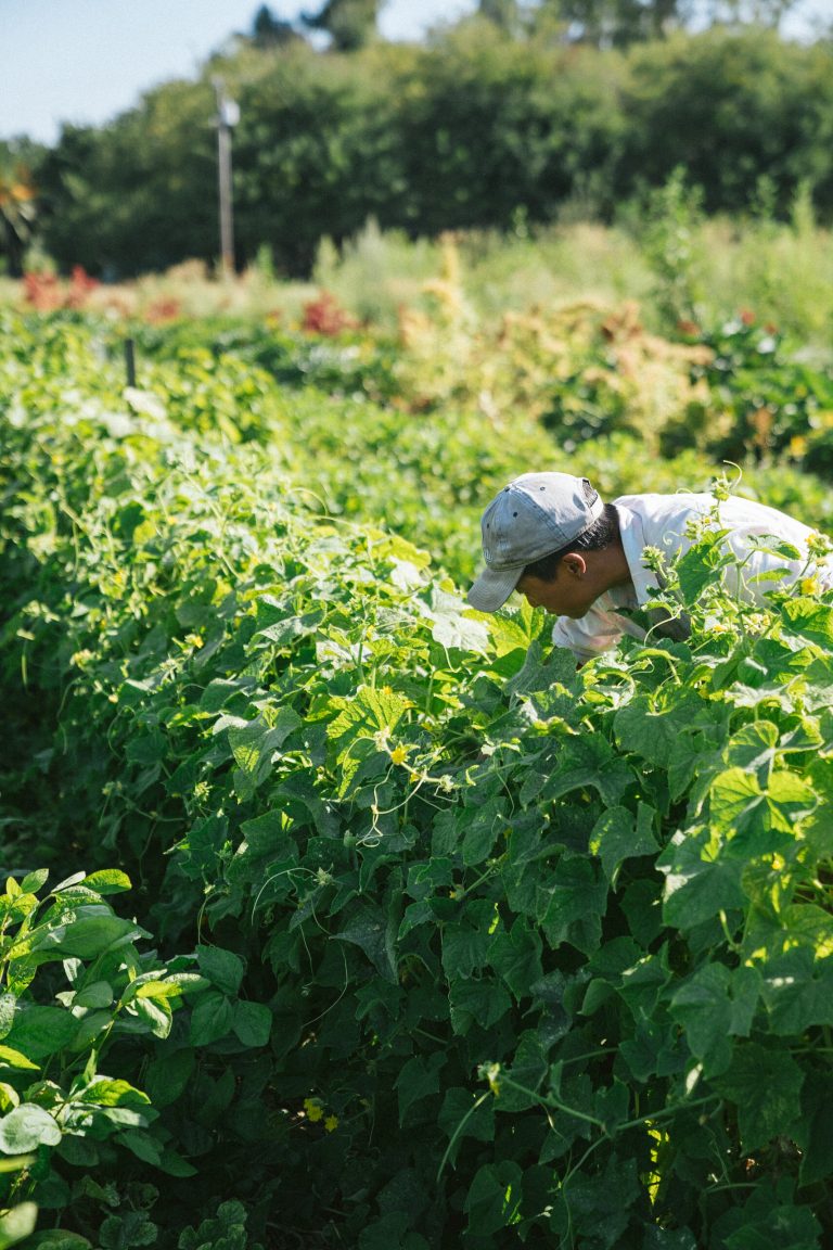 Two Acres at a Time — Kristyn Leach of Namu Farm