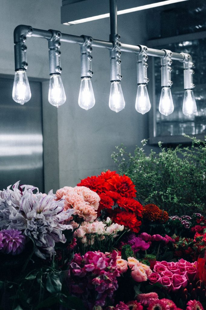 How AMKK Has Changed the Way We See Flowers