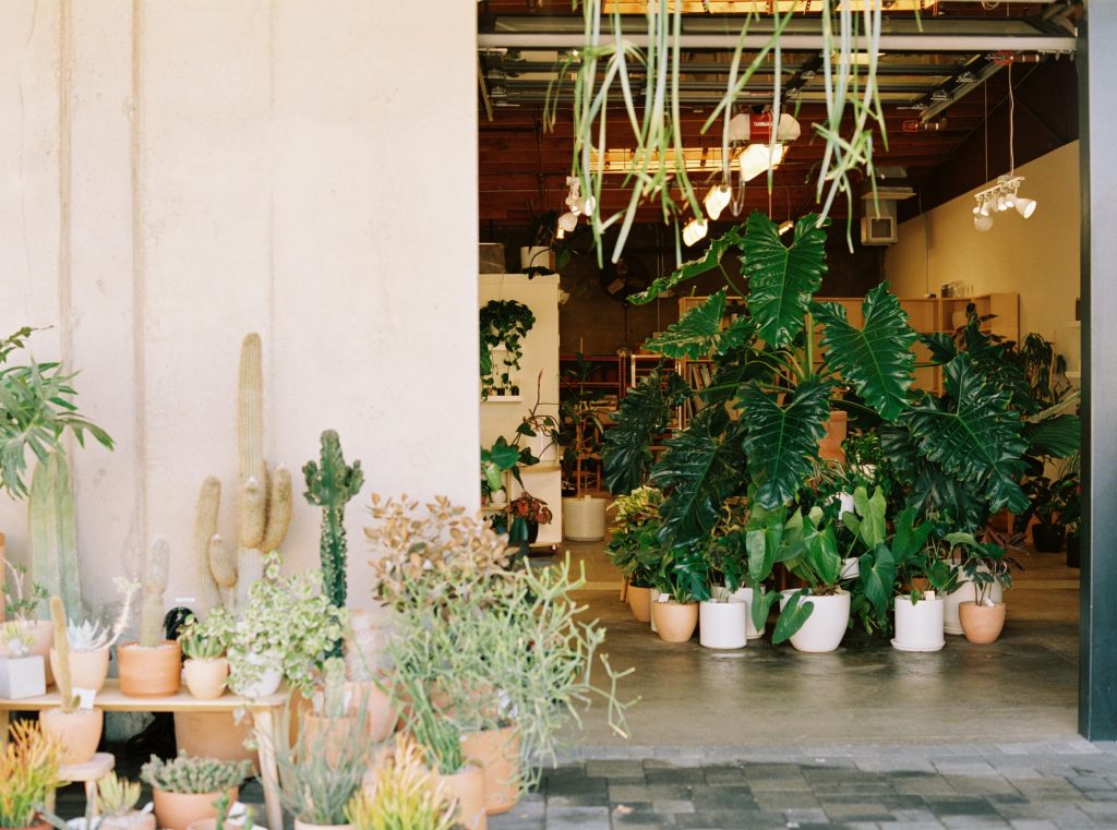 Simple Living with a Purpose — Justin Chung and Faculty Department