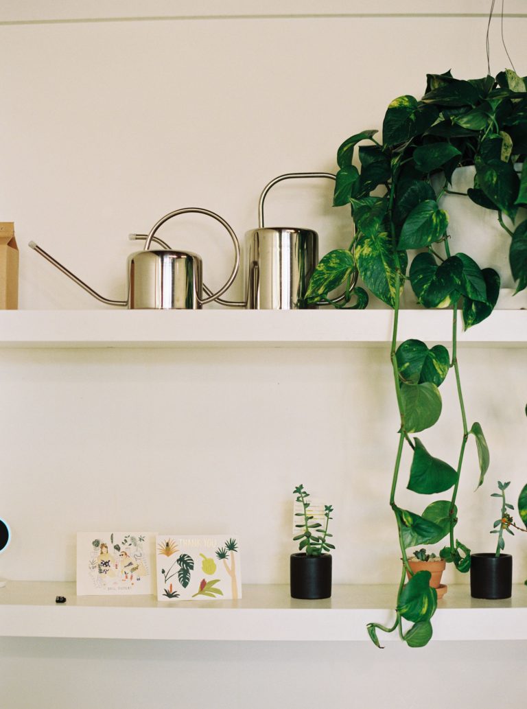 Simple Living with a Purpose — Justin Chung and Faculty Department