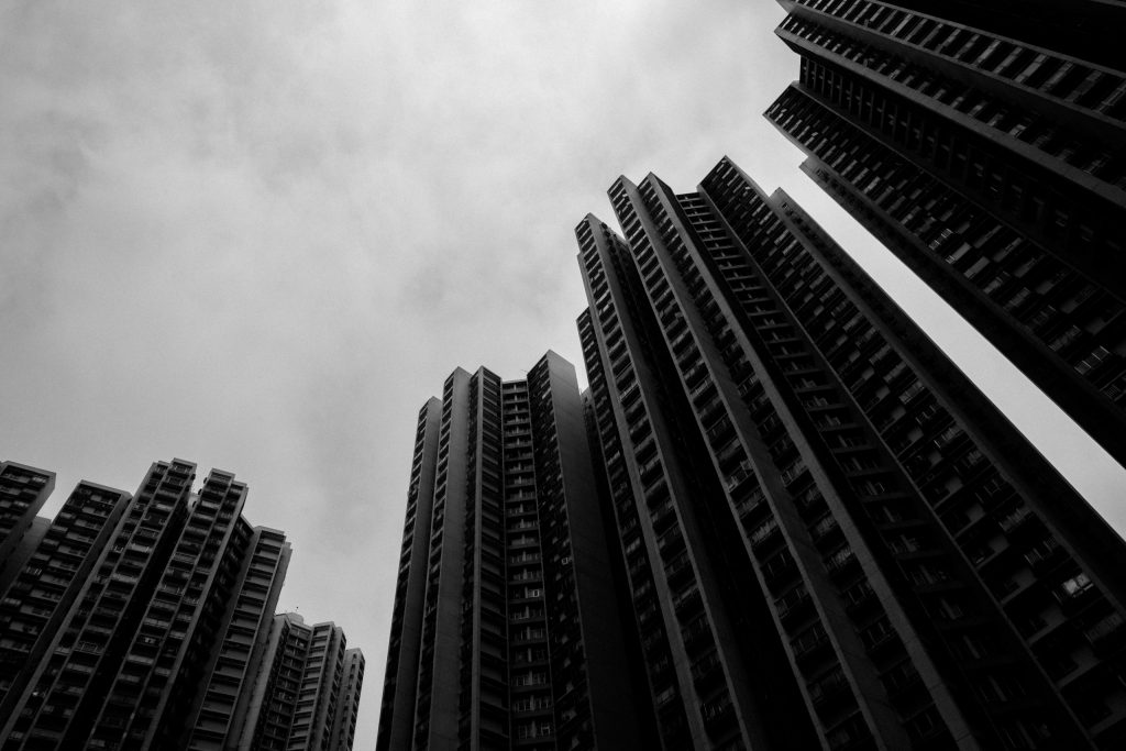 Building the Brand — Adam Studios